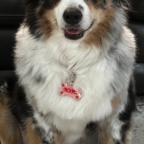 Custom Resin Glitter Dog Tag, Pet Id Tag, Epoxy Cat Tag, Dog Collar Tag ...