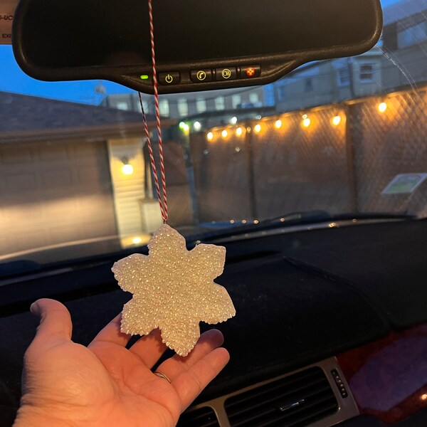 Formula 1 Cookies - Etsy