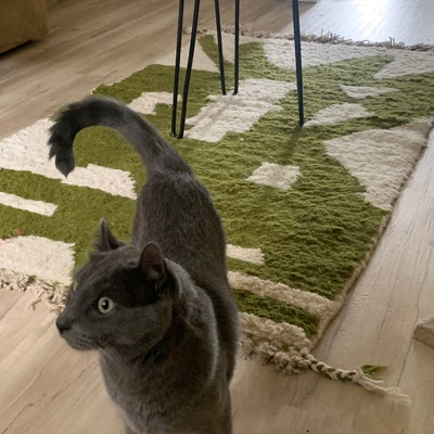 Custom Fabulous Boujad Rug, Authentic Moroccan Rug, Azilal Rug ...