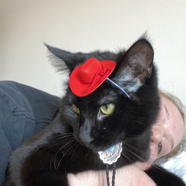 Mini-red Cowboy Cat Hat for Your Cat - Etsy