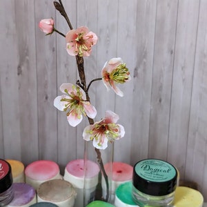 Freesia Paper Flower Templates Video Tutorial Instant Download SVG ...