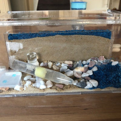 Sand Ant Farm T BIG anthill, Formicarium, Educational, Ants NO ANTS - Etsy