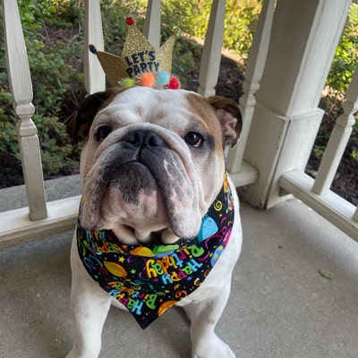 Adult Headband 2000s Style Headbands for Women Yoga - Etsy