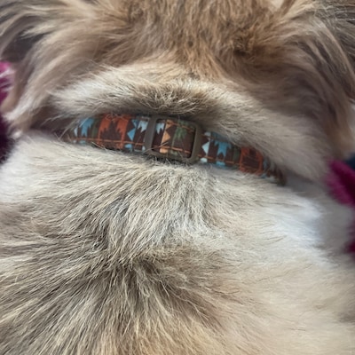 Cute Cat Collar Boy Collar Black Cat Collar Kitten Collar Safety Collar ...