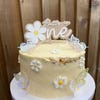 Airplane Cake Topper Set | Airplane Cake Topper | Boeing Topper | Plane ...