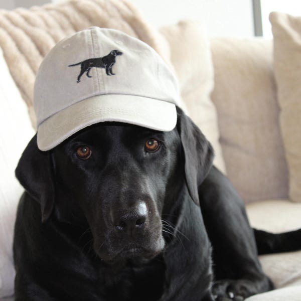Black Labrador Retriever Dog Hat Embroidered Men Women Mom Dad Cap ...