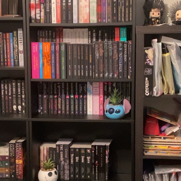Shelf Riser for Displaying Two Rows of Books on a Single Shelf ...