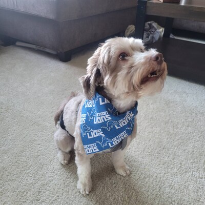 Small 9x12 Snuffle Mat Rooting Rug Canine Pet Dog Pig Rabbit - Etsy