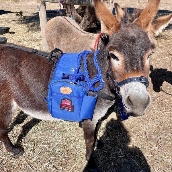 Miniature Horse and Donkey Backpacks - Custom Patches and Accessories ...