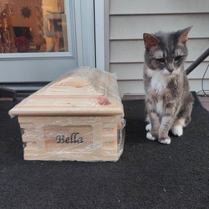 Caskets And Coffins Petbye XL Cardboard Animal Coffin Natural - 60 X 36 ...
