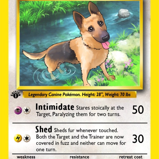 Doge Legendary Pokemon