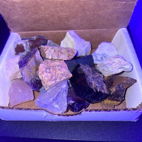 MINIATURE Crafters Collection Box: Gems Crystals Natural Raw Minerals ...