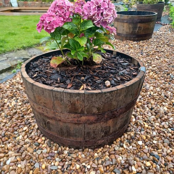 WHISKEY BARREL PLANTER - Reclaimed Oak Cask Planters - Freshly Made to ...