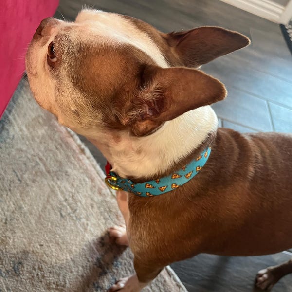 Plaid Dog Collars Personalized Dog Collars, Custom Dog Collar With Name ...