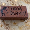 LIZARD GECKO Carved Stone / Engraved Brick Paver / Garden / Southwest ...