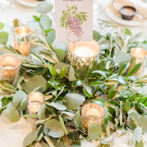 Cactus Table Numbers Desert Table Tents Cactus Table Cards - Etsy