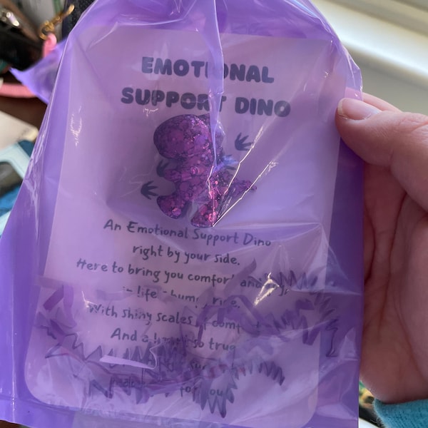 Emotional Support Dino, Pocket Hug Dinosaur, Worry Fidget Charm ...