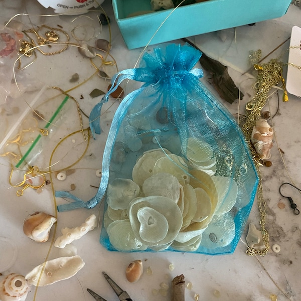 White Seashell Mix, Wedding Decor, Beach Decor, Home Decor, Vase Filler, Craft Shells, Collage ...