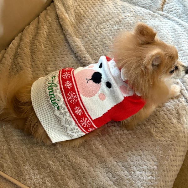 Personalized Dog Sweater With Name Embroidered Pet Sweater for Dog ...
