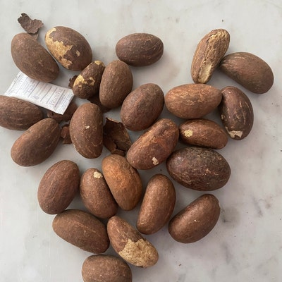 Aselife Energy™ Grains of Selim Pepper - Etsy Canada