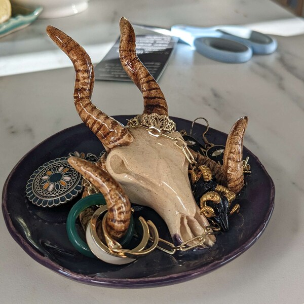 Ceramic Turtle Shell Wall Art, Handmade Turtle Shell Faux Taxidermy - Etsy