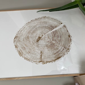 Western Red Cedar, Tree Ring Print, Black and White Tree Ring Print ...