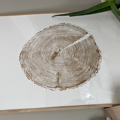 Western Red Cedar, Tree Ring Print, Black and White Tree Ring Print ...