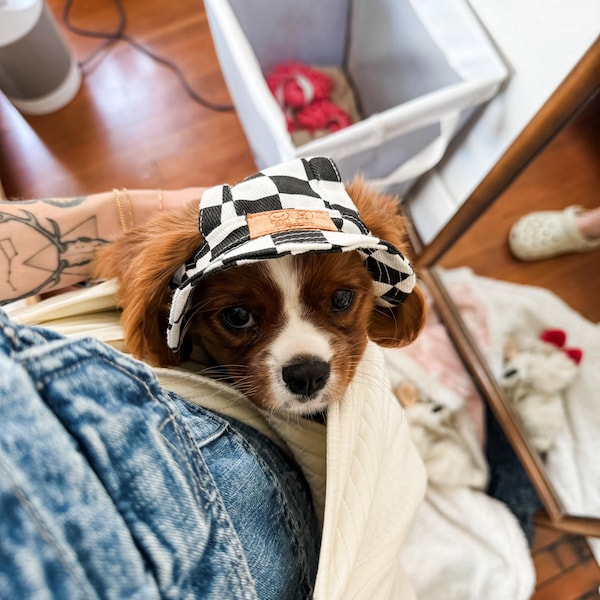 Corduroy Dog Hat | Bucket Hat | Puppy Hat | Dog Visor | Sun Protection ...