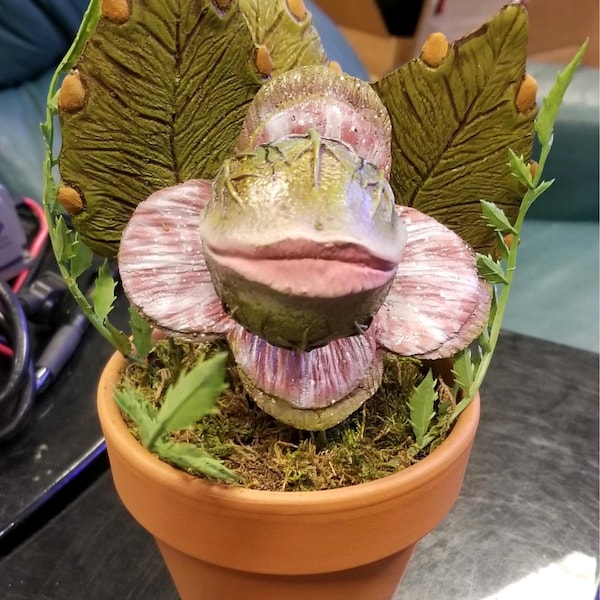 Baby Audrey 2 - Etsy