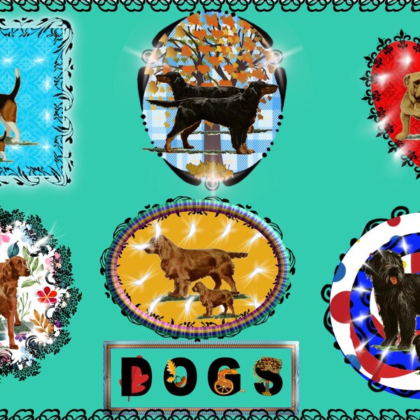 Affinity Serif -- Affinity KIT -- A License Plate Kit With 13 Affinity ...