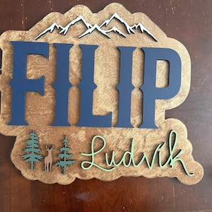 Custom Woodland Theme Name Sign, Wildlife Nursery Decor, Woodland 3D ...