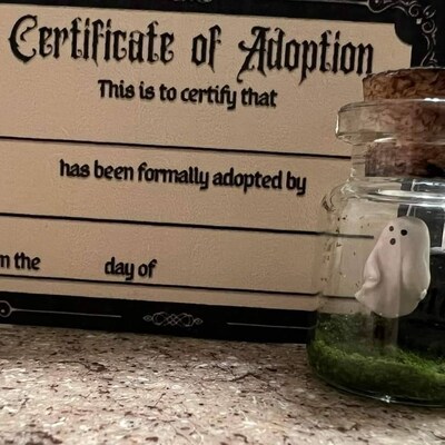 Magic Pixie Dust Fairy Bottle, Fairy Birthday Party Favors, Friendship ...