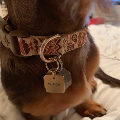 Dog Tag, Square Dog Tag, Brass Dog Tag, Pet ID Tags, Personalized Dog ...