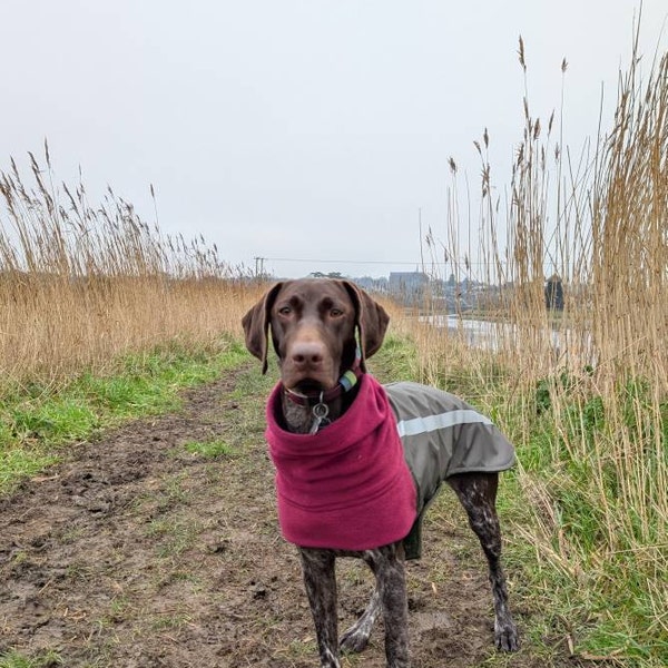 Bespoke All Weather Custom Made Fleece Lined Dog Coat With Waterproof ...