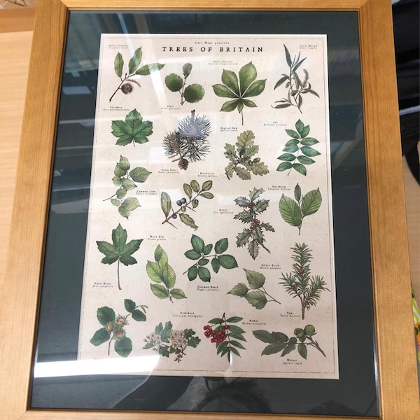 Iceland Illustrated Map Poster Original Fine Art Print Nordic Map ...