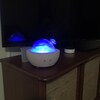 Luna | Glass Dome & White Speckled Concrete Diffuser | Essential Oil ...