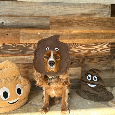Doodoo Poop Emoji Flat Pet Costume Hat in Soft Brown Felt With Sewn on ...