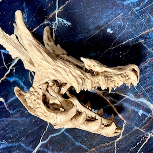 Diablos Skull monster Hunter - Etsy