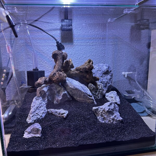 Bog Wood / Aquarium Décor / Terrarium / Reptile Tank / Aquascaping ...