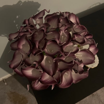 Pack of 20 Long Stem Black Rose With Glitter Trim Centerpiece Bouquet ...