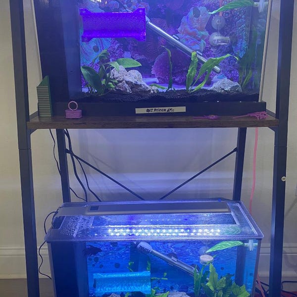 Seeshelter® Brand Betta Tunnel "gemstone Collection" - 11 Colors ...