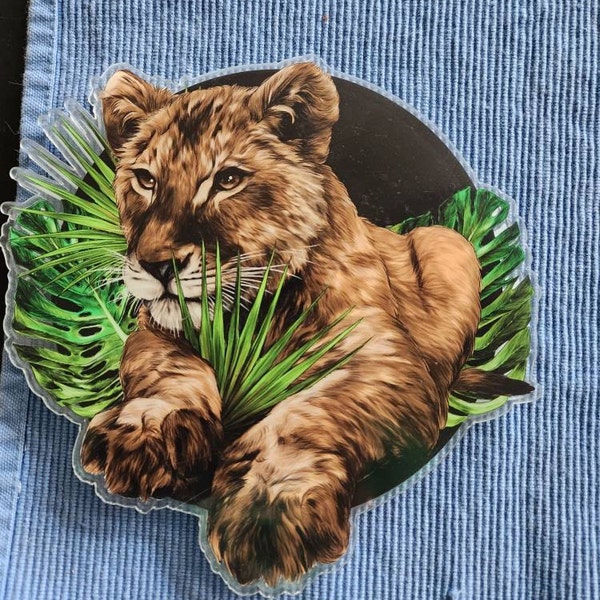 Acrylic Screen Door Magnets | Anti-collision Screen Door Decorations ...