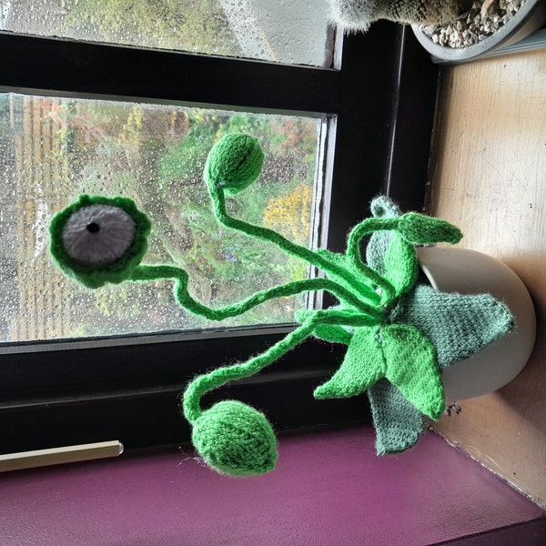 Knit Your Own Red Blood Cells pdf Knitting Pattern - Etsy