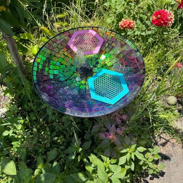 Monarch Butterfly Raising Kit- Butterfly Raising Kit, Milkweed Floral ...