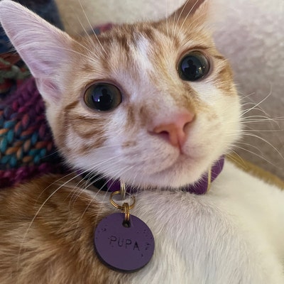 Cat Tag Leather Tag Silent ID Tag Personalized Cat Tag - Etsy