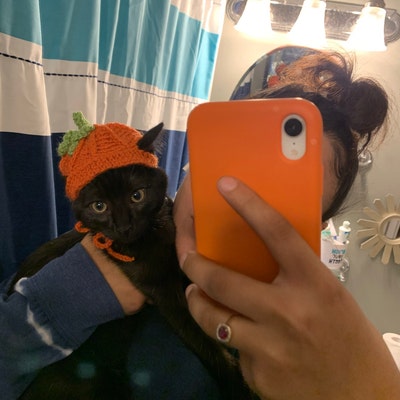 Pumpkin Hat for Cat Halloween Pet Costume Fall Kitten - Etsy