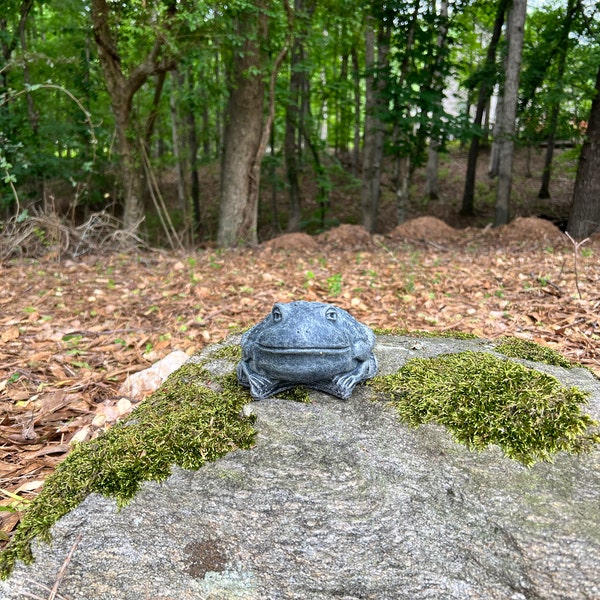 Chilled and Relaxed Toad Concrete Statue - Free Shipping - Home or ...