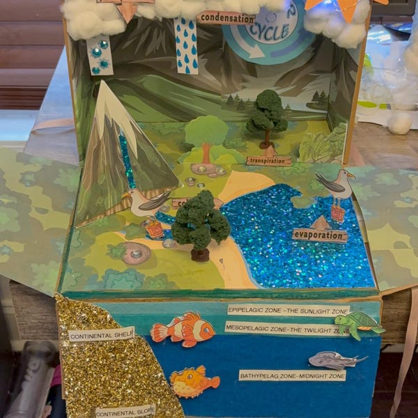 Shoebox Water Cycle Diagram Diorama, Create Your Own Papercraft Water ...
