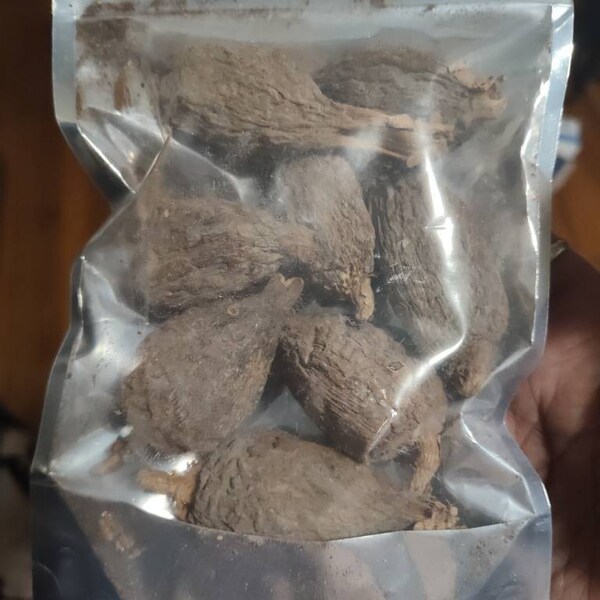 5 Pcs Atare Alligator Pepper - Etsy