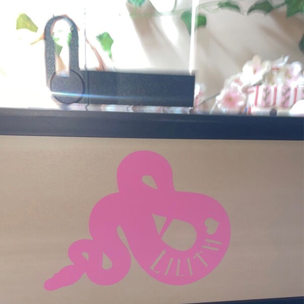 Customizable Name Ball Python Snake Vinyl Decal (READ DESCRIPTION) - Etsy